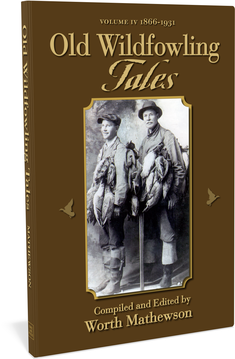 Download Book Barcode Png - Full Size PNG Image - PNGkit