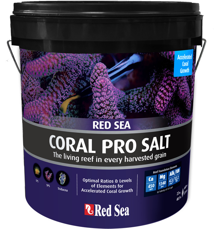 Download Red Sea Coral Pro Salt - Full Size PNG Image - PNGkit
