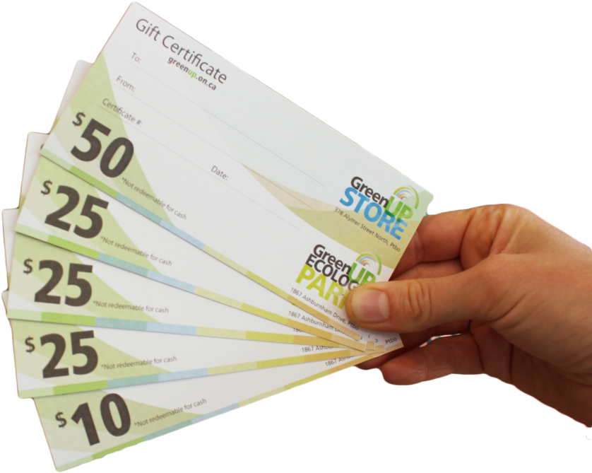 Download Cash - Full Size PNG Image - PNGkit