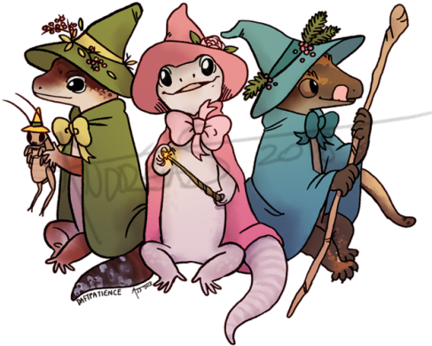 Download Wizard Leopard Gecko Art - Full Size PNG Image - PNGkit