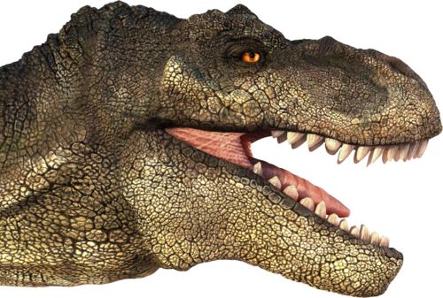 Download Transparent T Rex Transparent Images - T Rex Head Png - PNGkit
