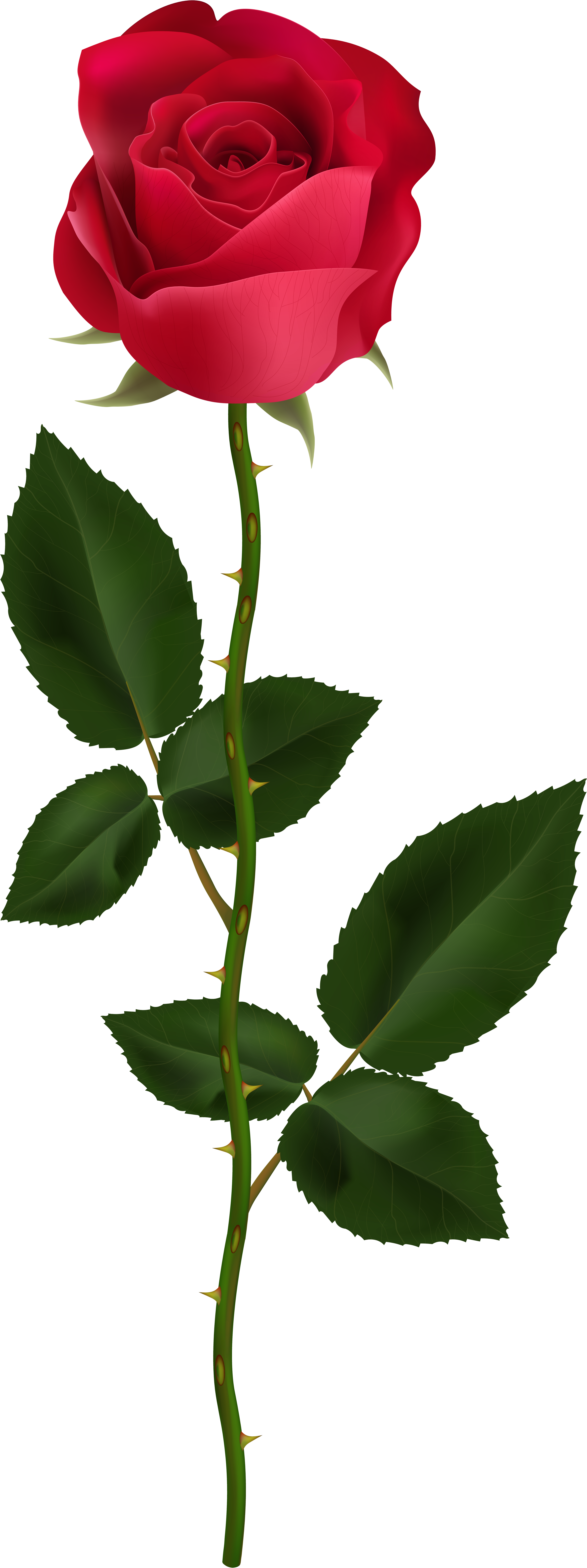 Download Steam Png Transparent - Full Size PNG Image - PNGkit