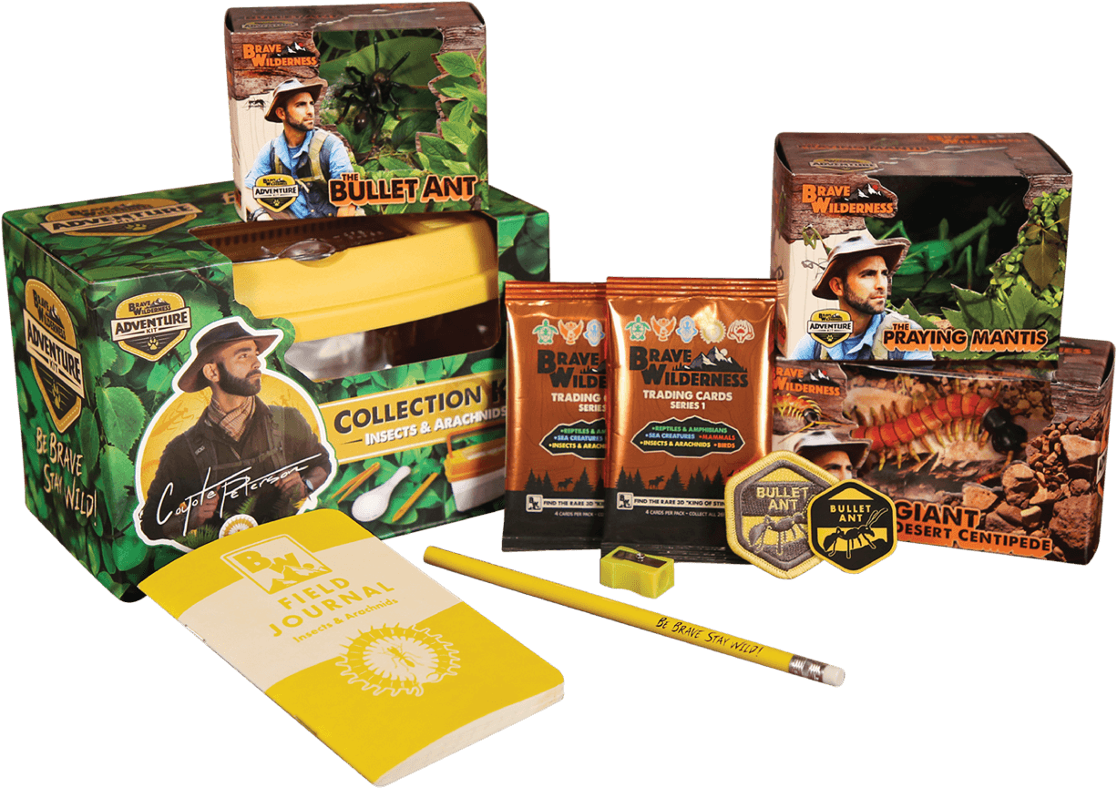 Download Now Available - Full Size PNG Image - PNGkit