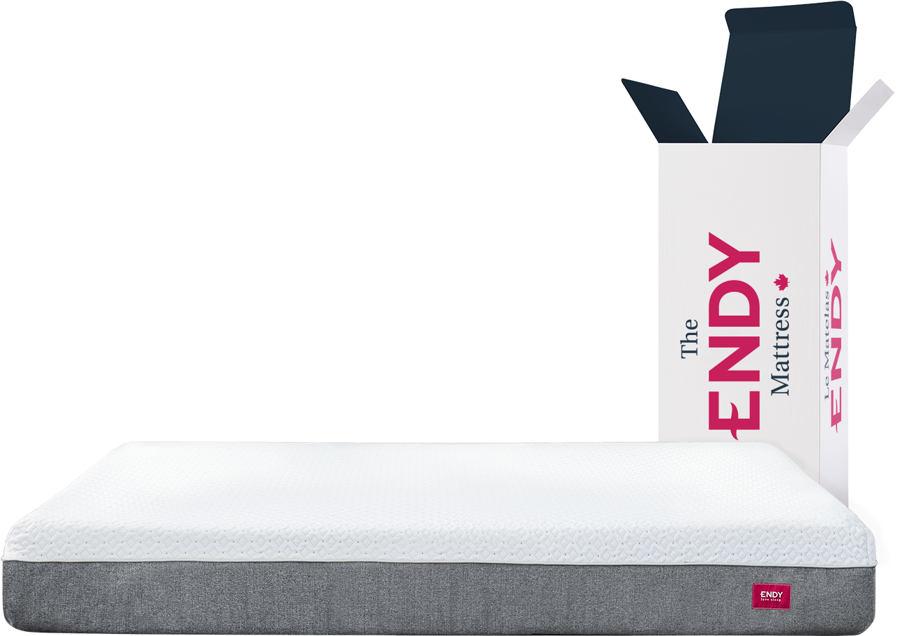 Download Endy - Full Size PNG Image - PNGkit