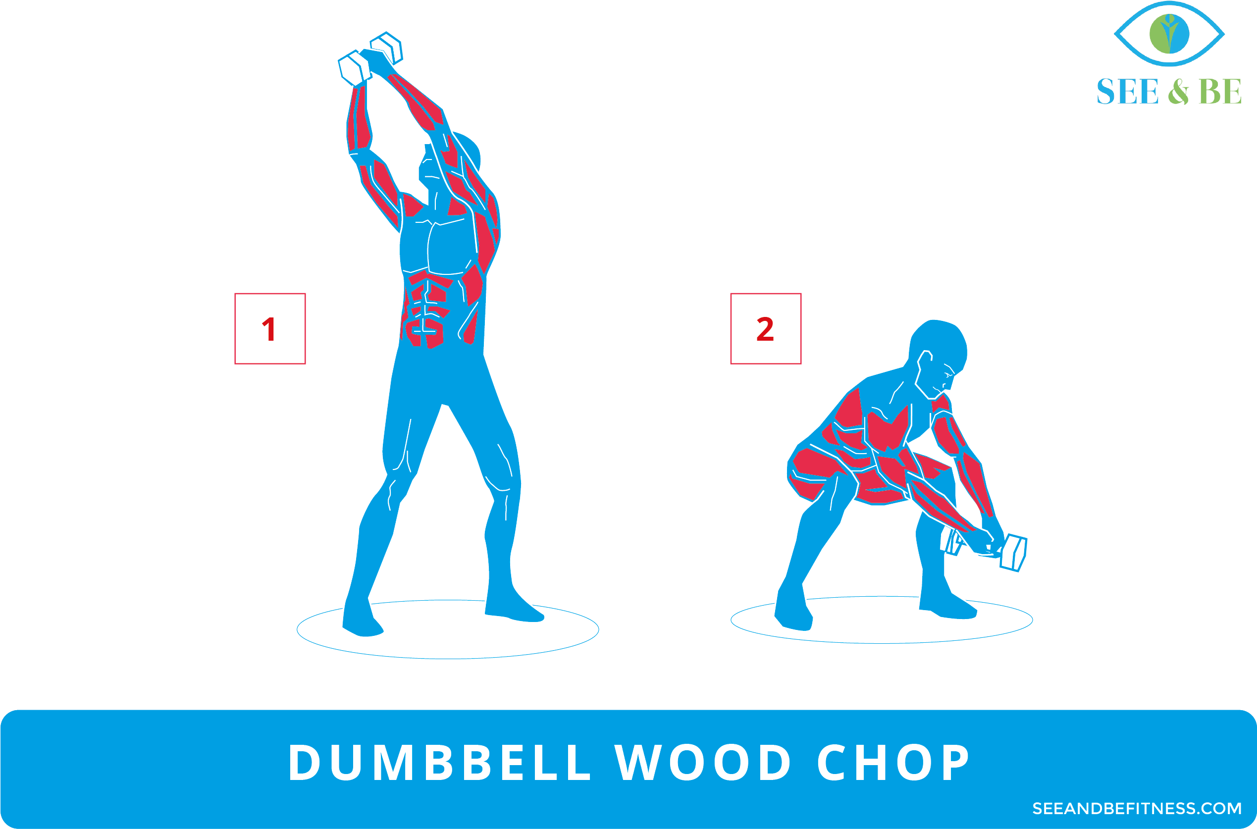Download The Dumbbell Wood Chop Is Another Full Body Exercise - Full ...