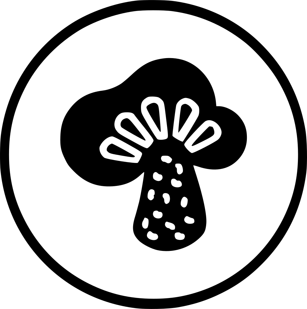 Download Png File Svg - Full Size PNG Image - PNGkit