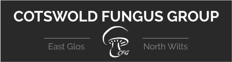 Download Cotswold Fungus Group - Full Size PNG Image - PNGkit