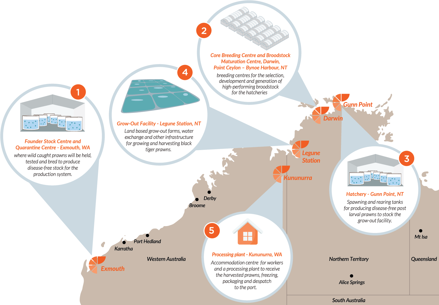 Download Project Sea Dragon Map - Full Size PNG Image - PNGkit