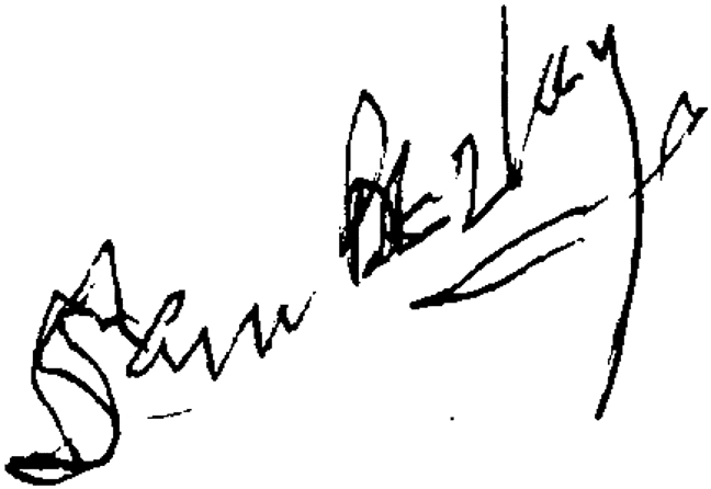 Download Sam Beazley Signature - Full Size PNG Image - PNGkit
