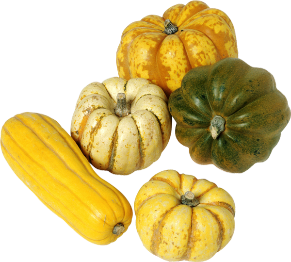 Download Squash Png - Full Size PNG Image - PNGkit