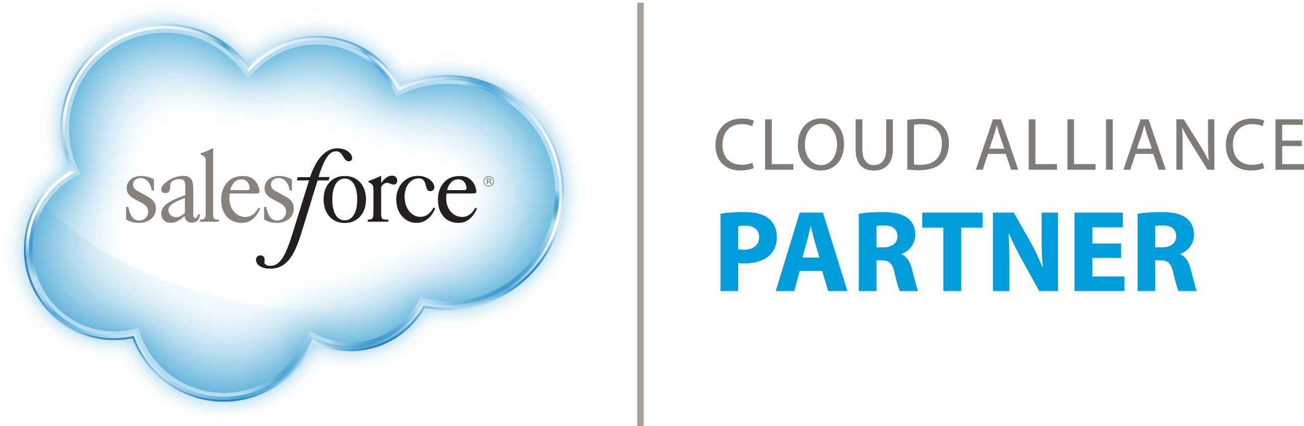 Download Our Partners - Salesforce.com - Full Size PNG Image - PNGkit