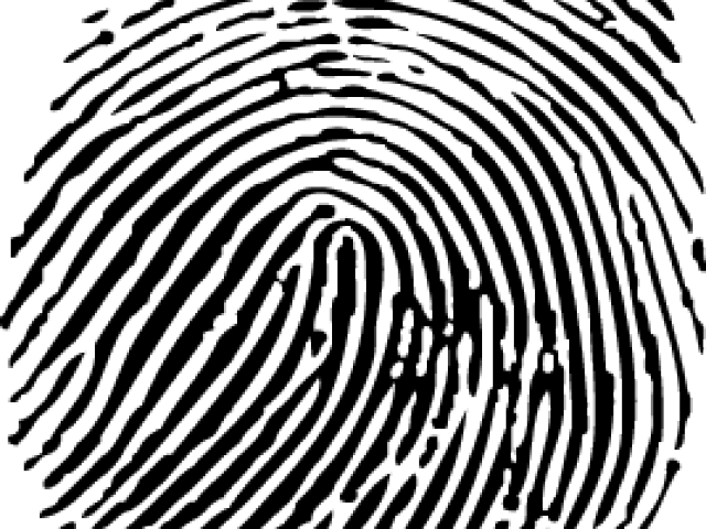 Download Vector Of A Fingerprint - Full Size PNG Image - PNGkit