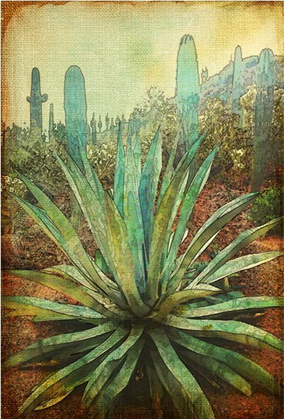 Download “agave I” Canvas - Agave Art - Full Size PNG Image - PNGkit