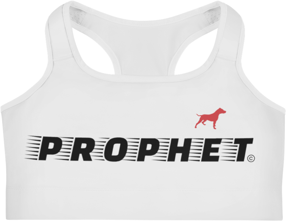 Download Prophet Png - Full Size PNG Image - PNGkit
