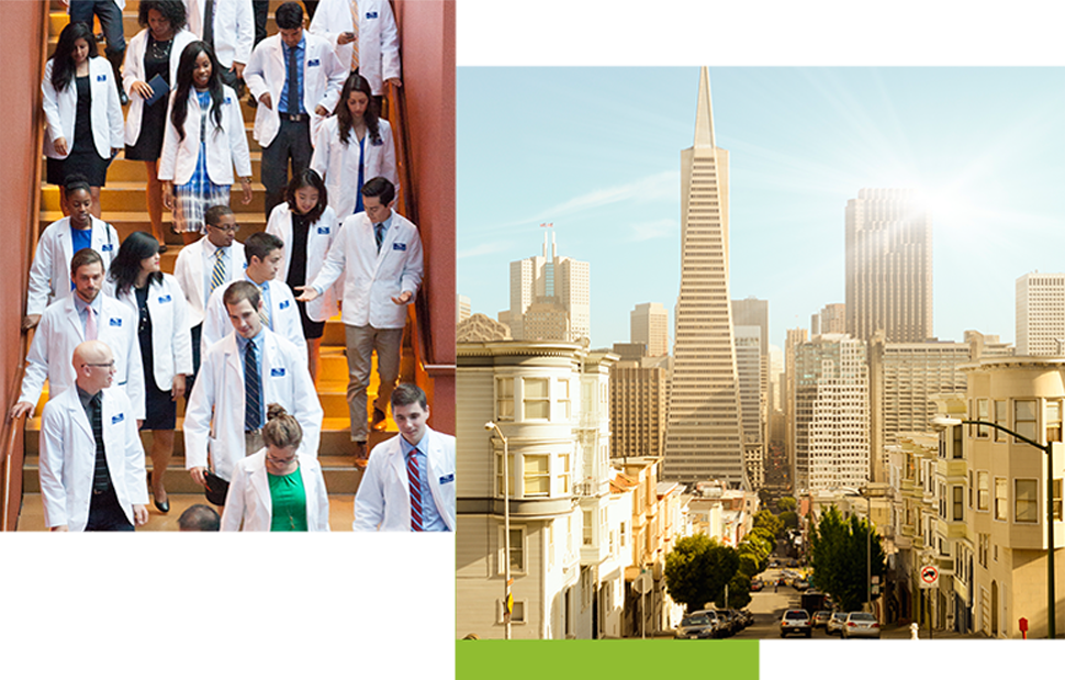 Download Ucsf Logo Png - Full Size PNG Image - PNGkit