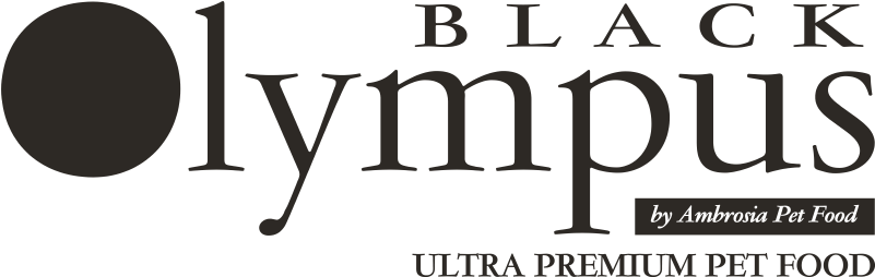 Download Black Olympus Logo - Full Size PNG Image - PNGkit