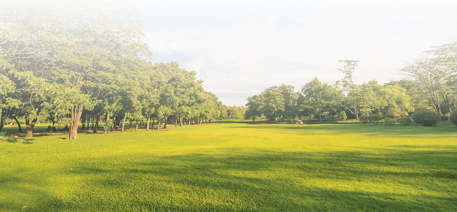 Download Park Background Png - Full Size PNG Image - PNGkit