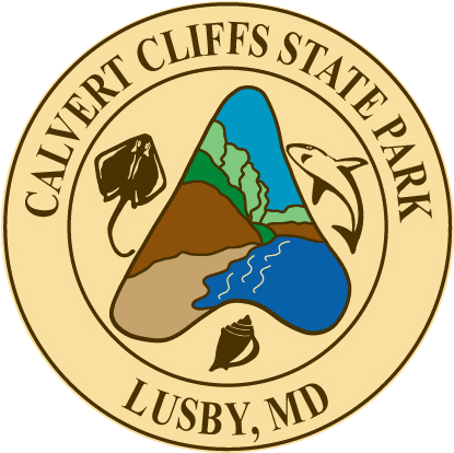 Download Calvert Cliffs Is A Day-use Park Featuring A Sandy - Full Size ...