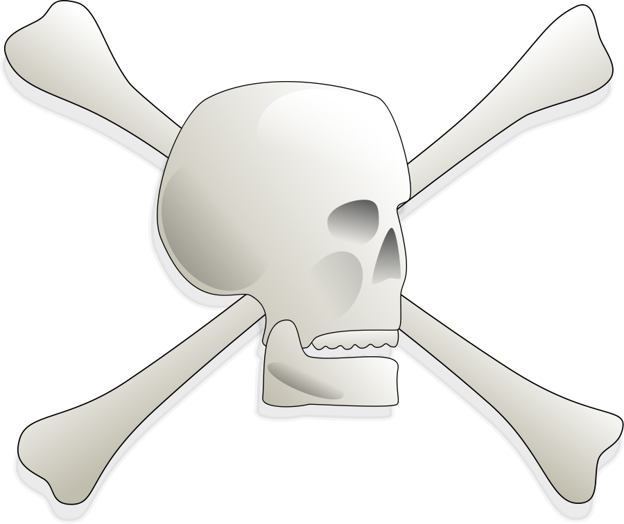 Download Skull And Bones Clipart Png For Web - Full Size PNG Image - PNGkit