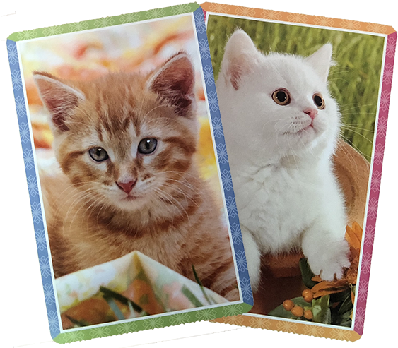 Download Kittens Playing Cards - Springbok Puzzles Kittens Bridge Tally ...