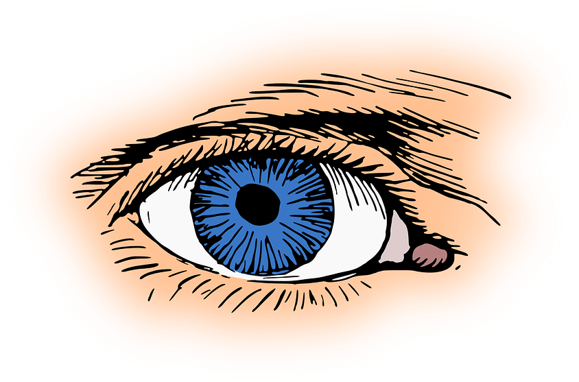 Download Two Blue Eyes - Eye - Full Size PNG Image - PNGkit