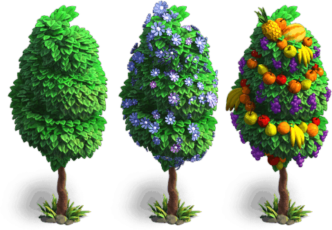 Download Fruit Tree Stages - Stages Of A Fruit Tree - Full Size PNG ...