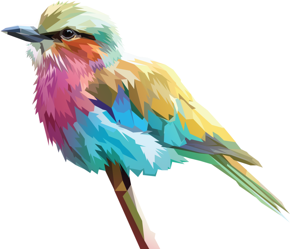 Download Birb - Full Size PNG Image - PNGkit