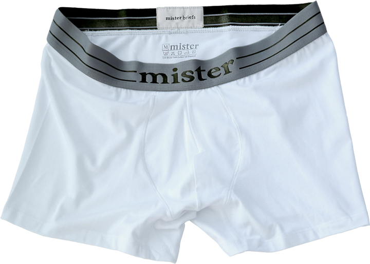 Download Mister Boxer - Full Size PNG Image - PNGkit