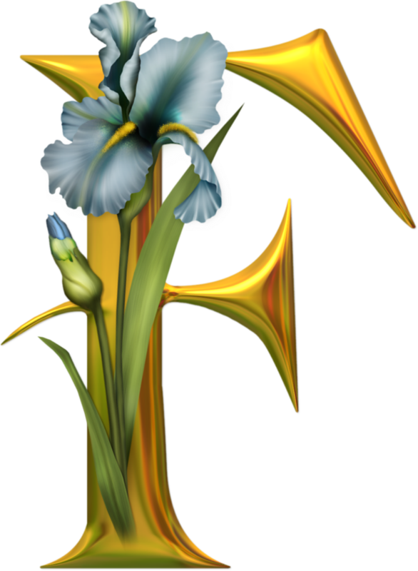 Download F - Full Size PNG Image - PNGkit