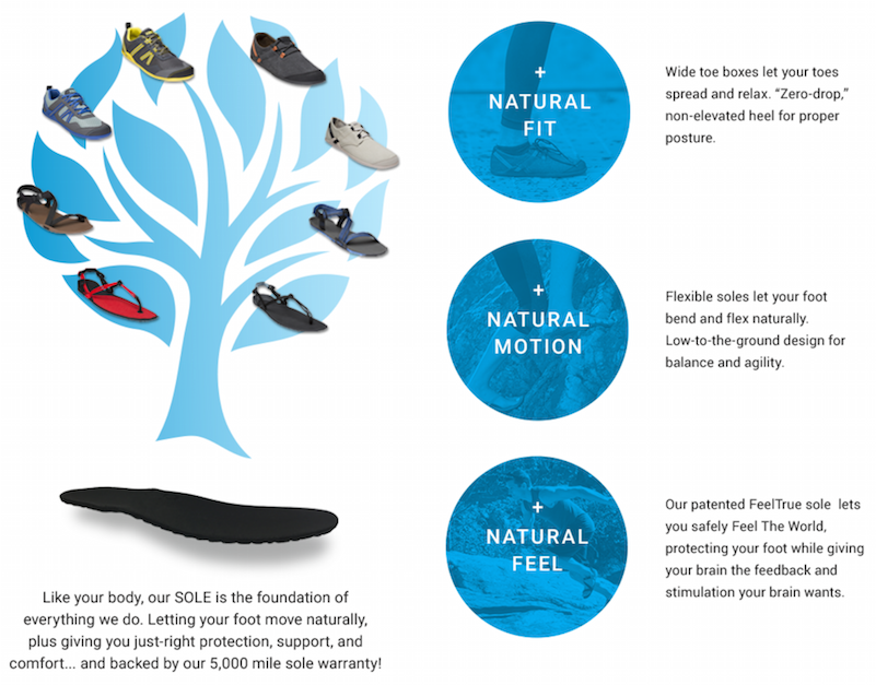 Download Zappos Png - Full Size PNG Image - PNGkit