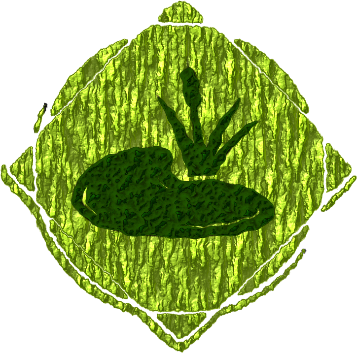 Download Swamp Medal - Full Size PNG Image - PNGkit