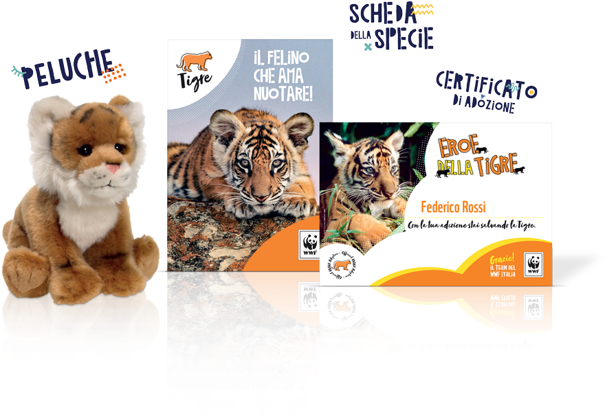 Download Con Il Kit Adozioni Junior, Il Tuo Bimbo Riceverà Una - Full ...