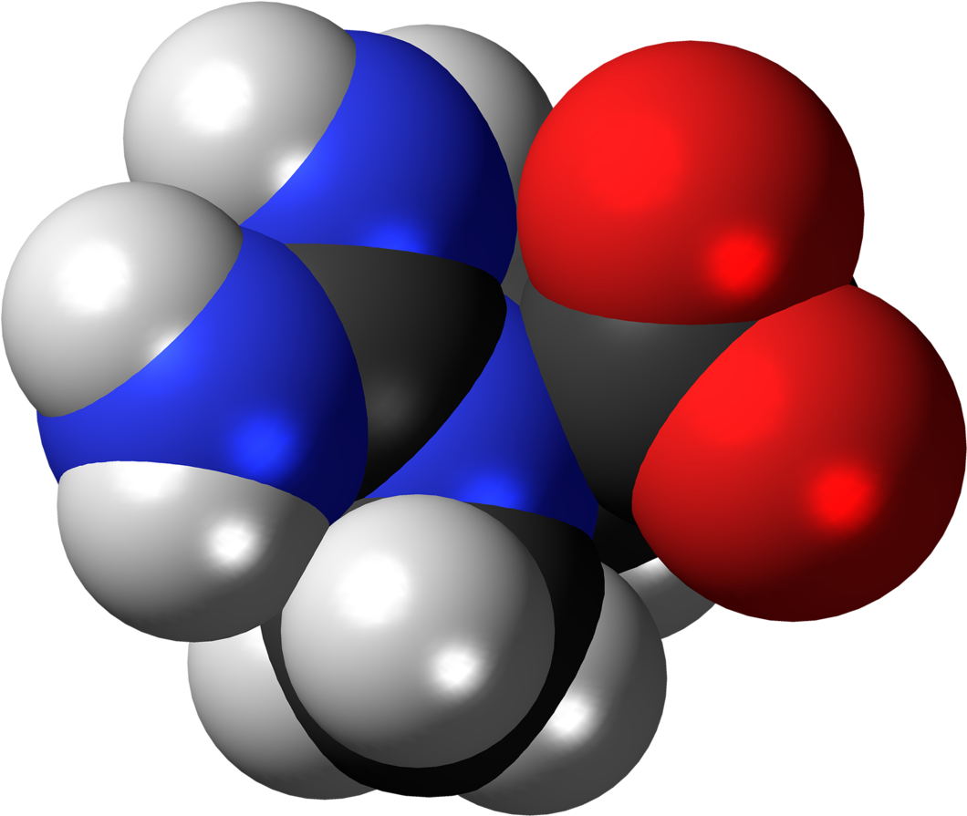 Download Creatine Zwitterion Spacefill - Full Size PNG Image - PNGkit