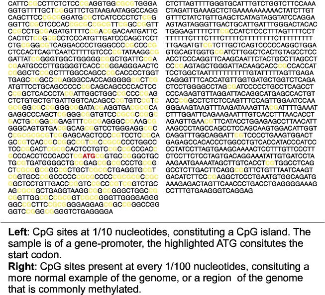 Download Illustration Of Nucleotide Base Sequence Showing Mulitple ...