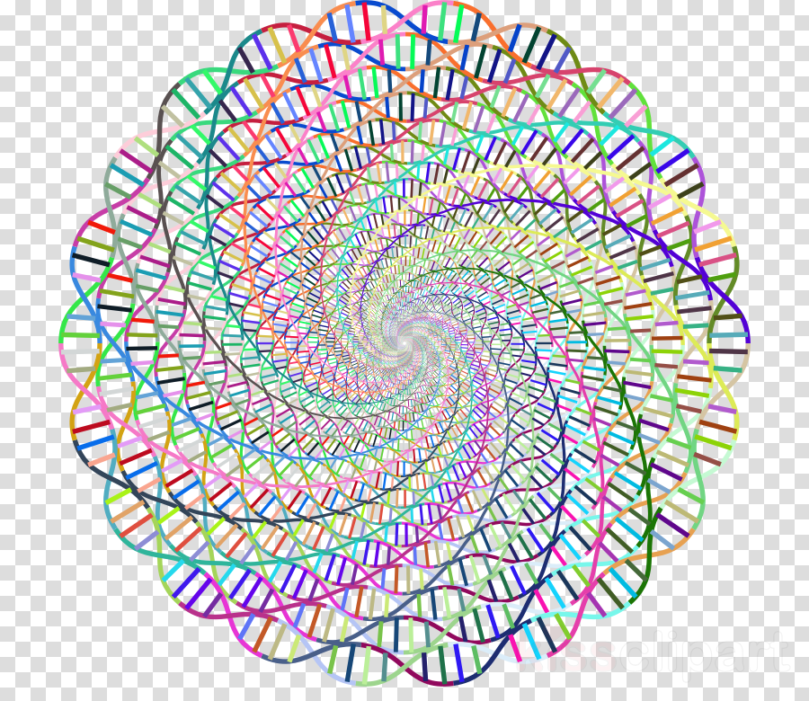 Download Transparent Dna Clipart Dna Nucleic Acid Double Helix Genomics ...