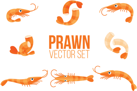 Download Prawns Icons Vector - Full Size PNG Image - PNGkit