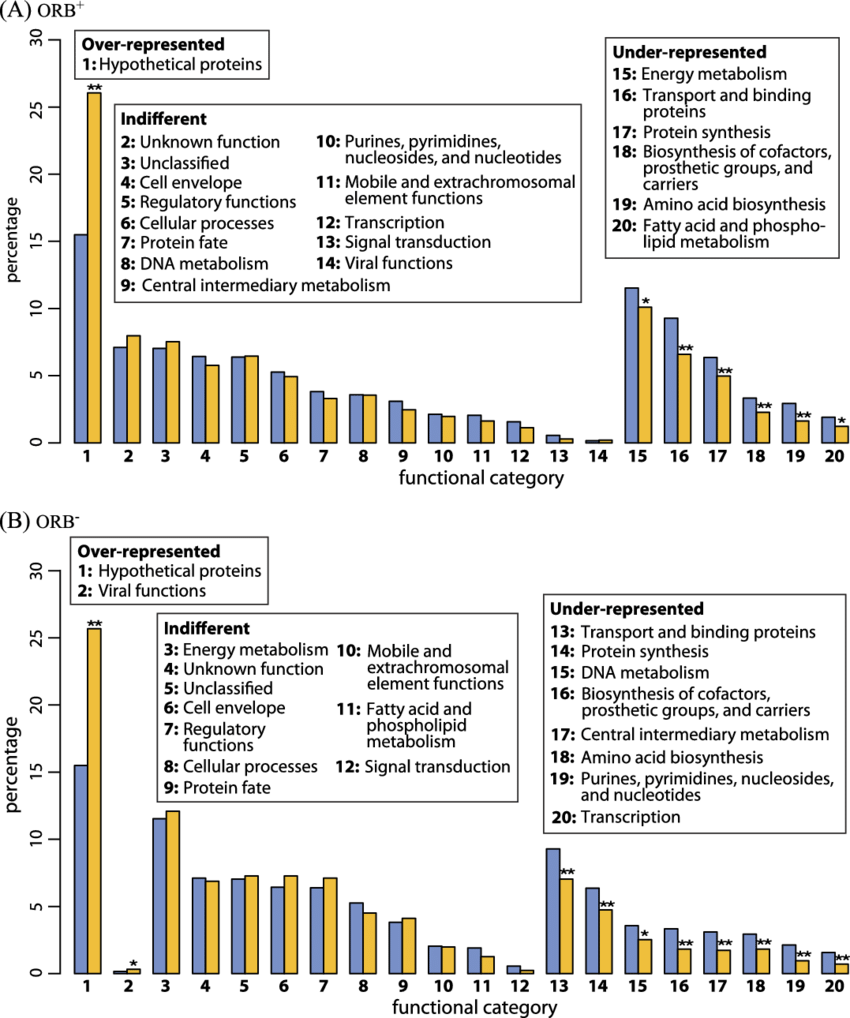 Download -representation Of Functional Categories Assigned To - Full ...