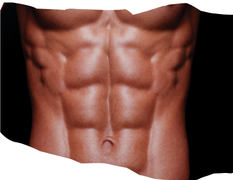 Download Ultimate Abs For Men Jpg Transparent Download - Transparent ...