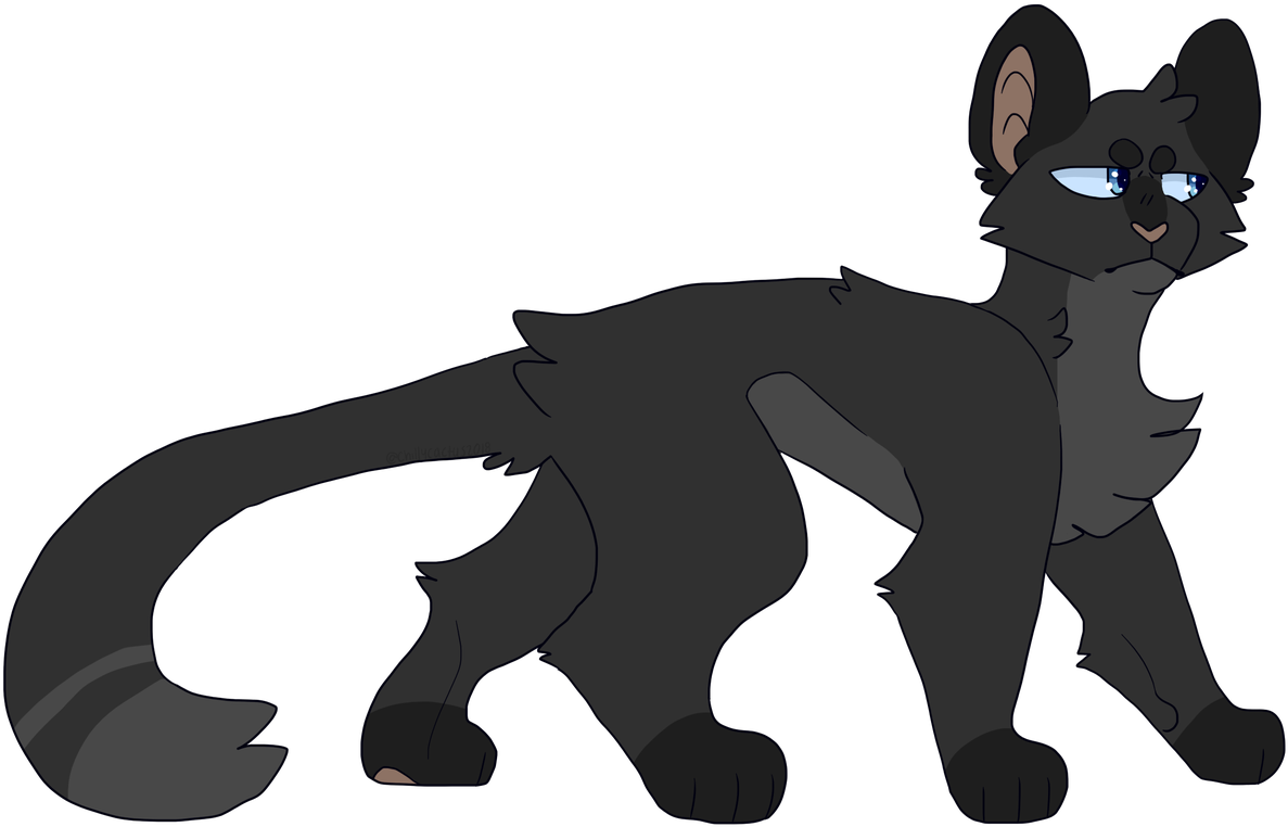 Download #warriorcats #crowfeather #windclan Pic - Full Size PNG Image ...