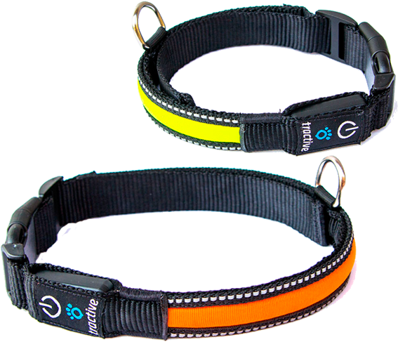 Download Collar Para Perros Led Tractive - Full Size PNG Image - PNGkit