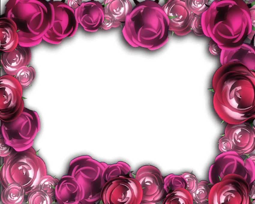 Download Free Png Best Stock Photos Transparent Pink Roses Frame - Full ...