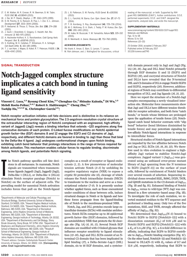 Download Jagged Edge Png - Full Size PNG Image - PNGkit