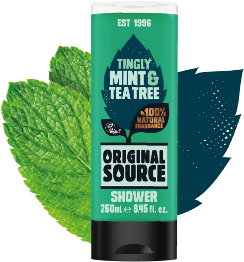Download Mint & Tea Tree - Full Size PNG Image - PNGkit