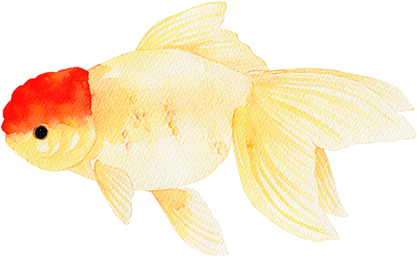 Download Goldfish - Chinese Drawn Fish - Full Size PNG Image - PNGkit