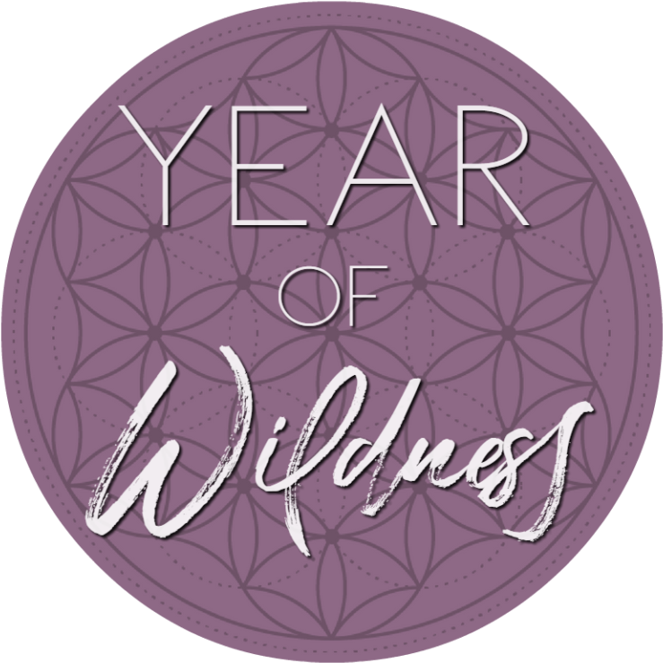 Download Yowcircle-768x768 - Circle - Full Size PNG Image - PNGkit