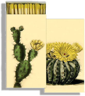 Download Matches - Homart Cacti Match Boxes With Wooden Matches (set Of ...