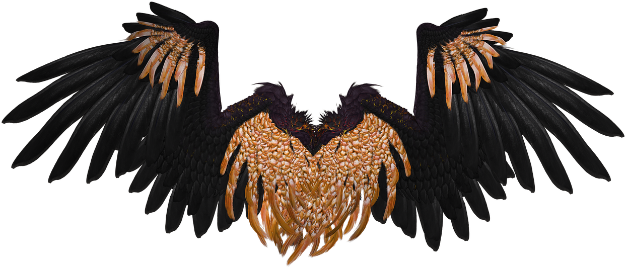 Download Wing, Angel, Fly, Gold, Black, Png, Isolated, 3d - Black And ...