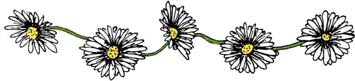 Download Daisy Chain - Flower Chain Png - Full Size PNG Image - PNGkit