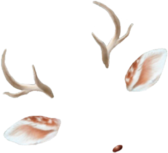 Download Download Filters Free Transparent - Deer Snapchat Filter Png ...