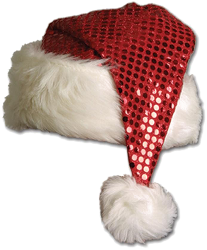 Download Christmas Hat Png Photo - Sparkly Santa Hat Png - Full Size ...